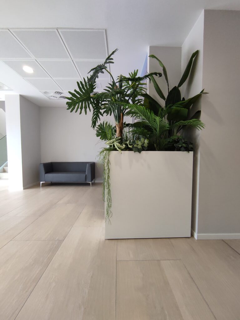 Proyectos - AM Contract